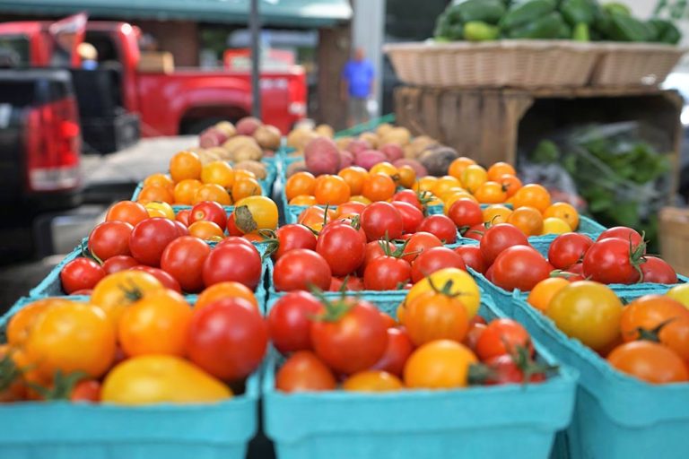 Shop Local, Fresh, Healthy Foods | Coastal Foodshed