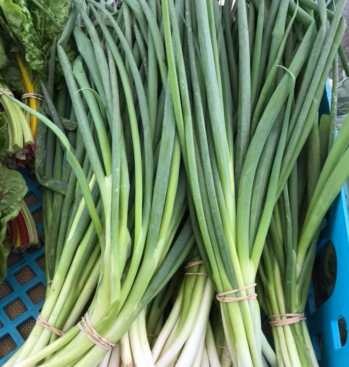 Virtual Farmers Market Purchase From Home | Coastal Foodshed